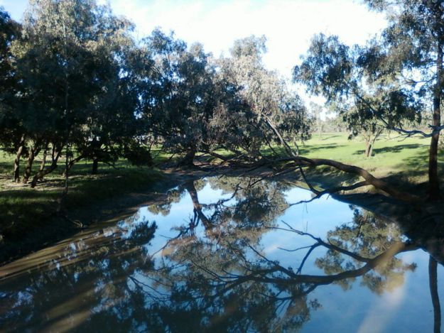 A Sunshine State Road Trip: Warrego Highway | Auto Europe